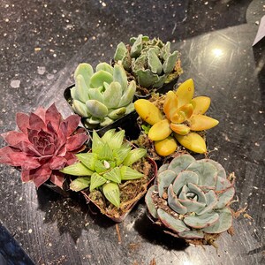 Congrats Gift Box for Her Way to Go Gift for Best Friend - Etsy