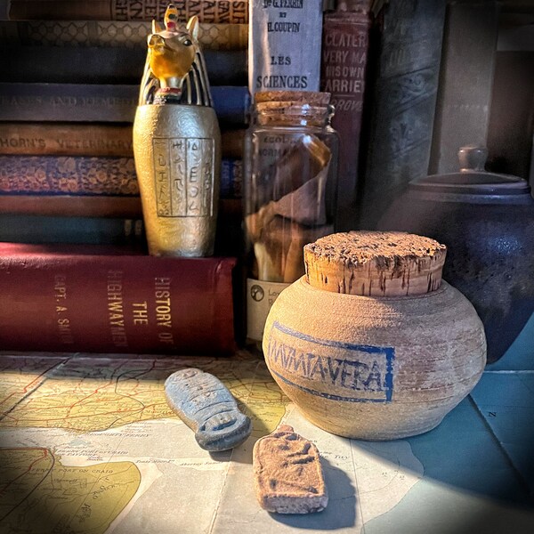 Vintage Science Kit Victorian Natural Science Dark Academia Antique ...