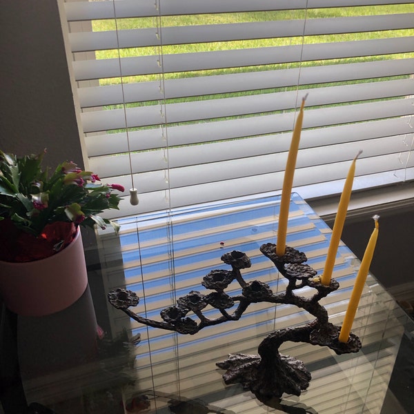 Chanukah Menorah Bonsai Tree Unique Hanukkah Menorah Modern Rustic Look ...