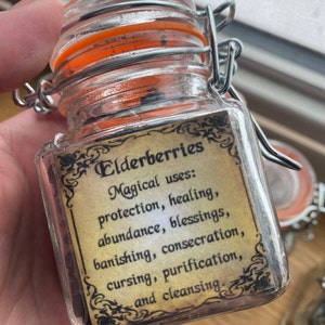 Nettle Herb & Jar | Etsy