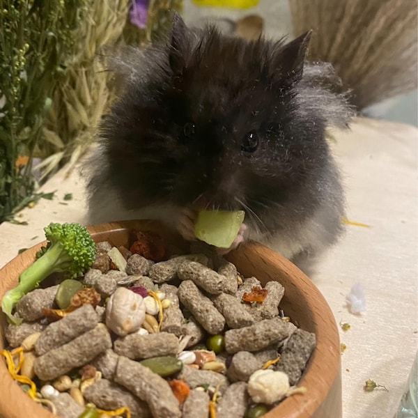 500g Syrian Hamster Pellet-free Food Mix | Robin's Gourmet Hamster Food ...