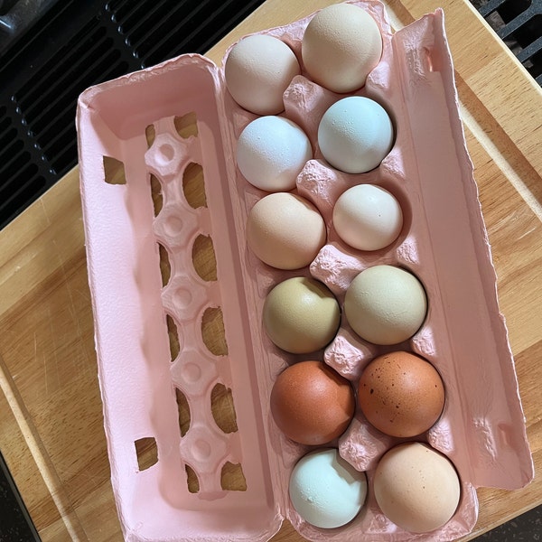 Pink Open Top Paper Pulp Chicken Egg Cartons (12 Eggs) - Etsy