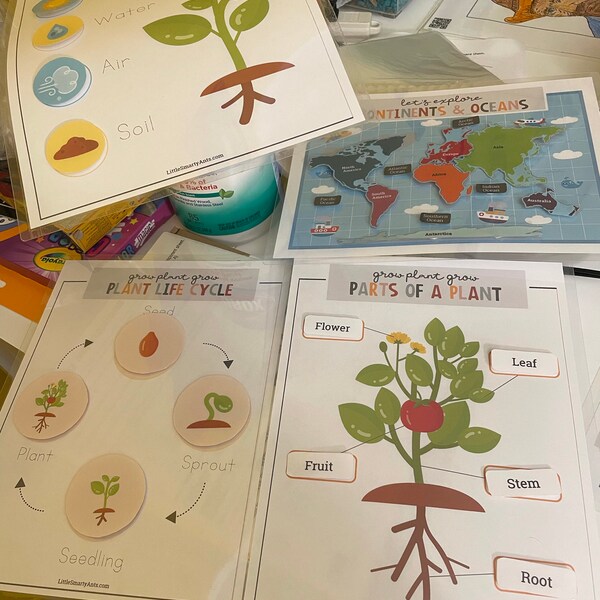 Parts of Plant, Plant Life Cycle, Plant Activity, Nature Study ...