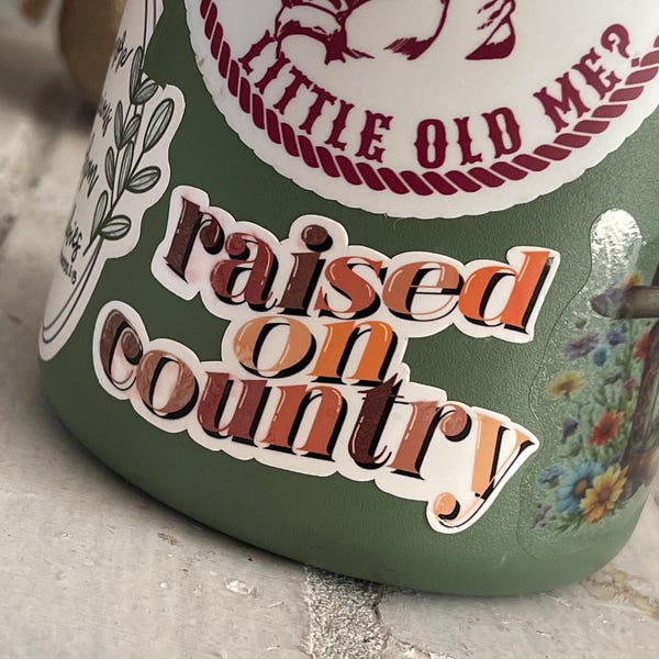 Christmas Sticker Pack | Aesthetic | Laptop Holiday Stickers - Etsy