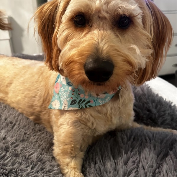Red, Blue, Santa Bandana Christmas Reversible Dog Bandana, Ho Ho ...