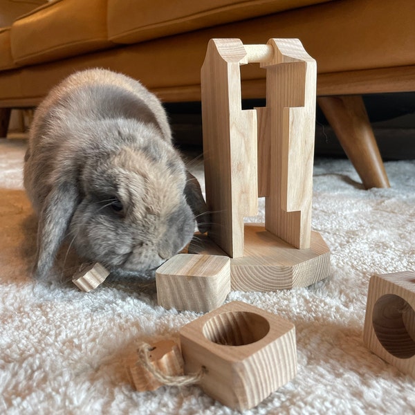 I Love Art and Bunnies T-shirt for Bunny Mom, Rabbit Lover T-shirt ...