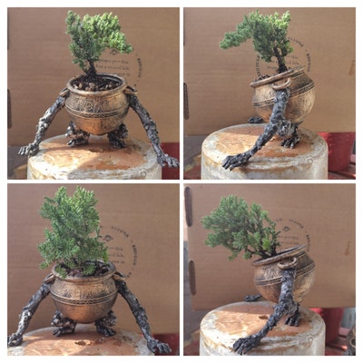 Alexander Pot Boy - Etsy