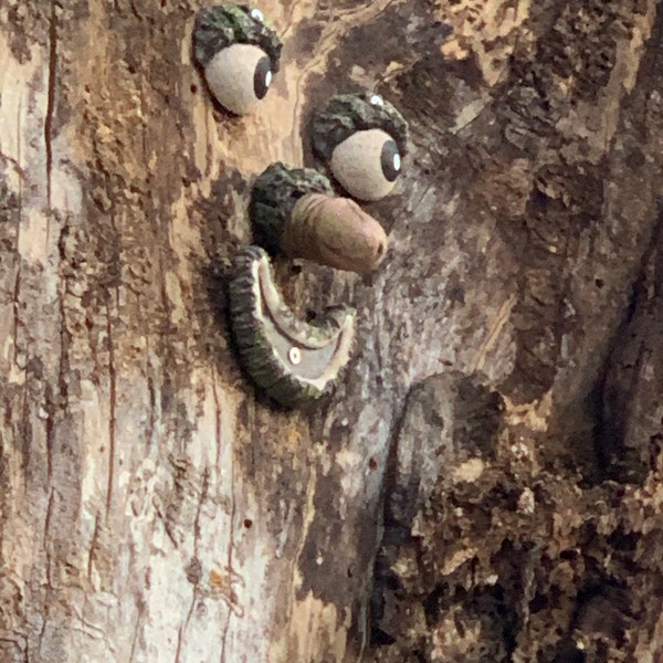 Willy the Tree Face. Funny Faces for Trees. Outdoor Sculpture, Statue ...