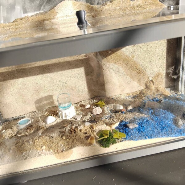 Sand Ant Farm Medium (anthill, Formicarium, Educational, Ants) (NO ANTS ...