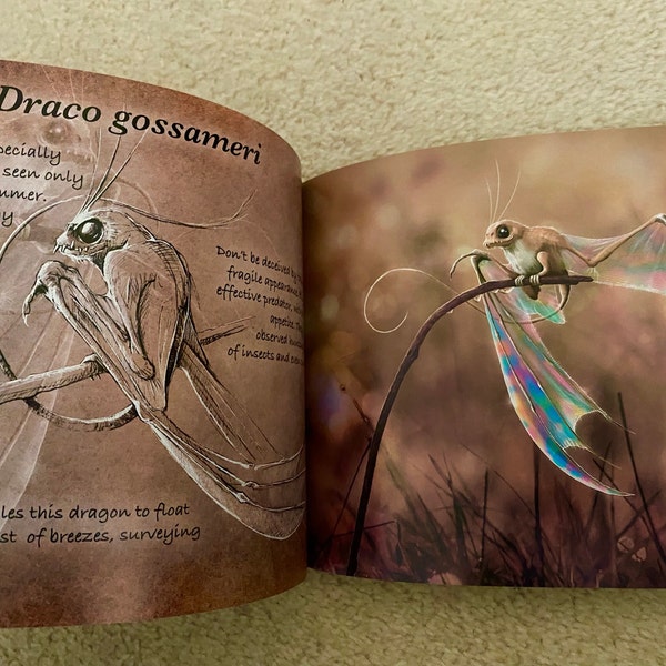 Draco Minimus Book - Etsy