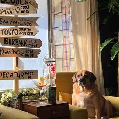 Mash 4077th Sign Post Panels Mash 4077 Garden Decor Wall Hanging - Etsy