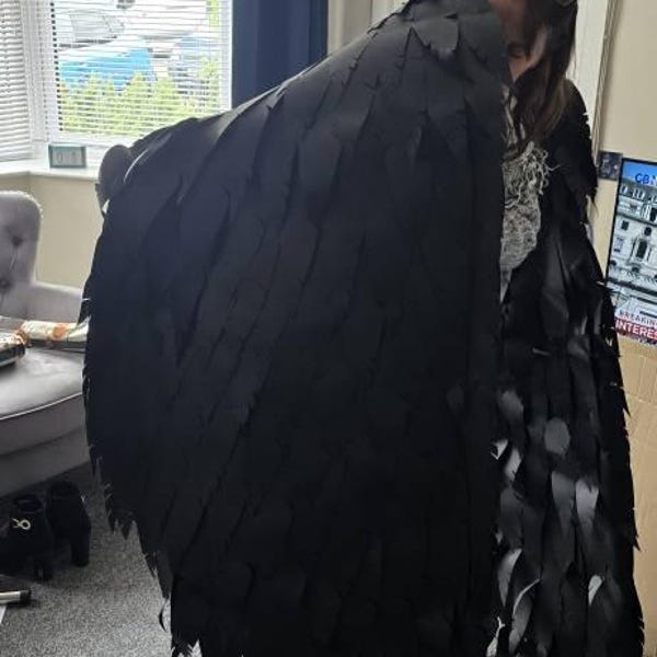 Large Wings for Dance, Movable Wings, Stage Wings, Wings for Carnivals ...