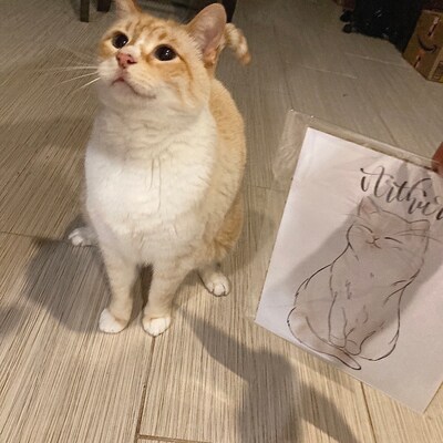 Color Wheel Procreate Color Palette, Bright Rainbow Color Palette, Neon ...