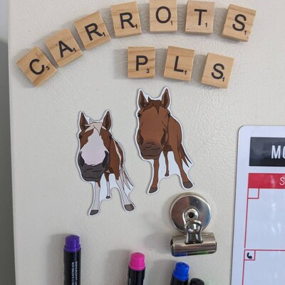 Fully Editable Horse Stall ID and Feeding Schedule Cards Canva - Etsy