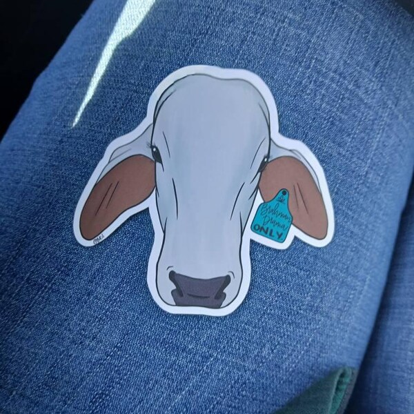 Betsy Brahman Waterproof Cow Sticker - Etsy