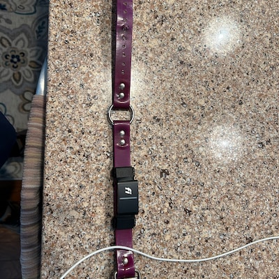 Fi Series 2 Collar Adapter - Etsy