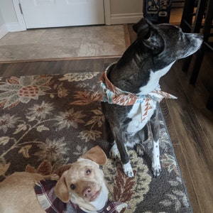 Curriculum Maps for Homeschooling Pre-k-10th Visual Lesson Planning ...