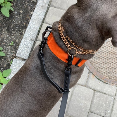 Custom Biothane Training Tab - Etsy