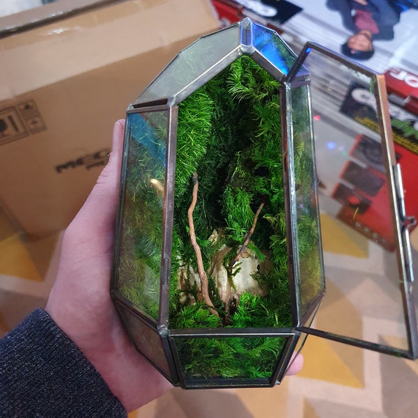 Geometric Terrarium | Prism | Desktop Mossarium Centrepiece | Preserved ...