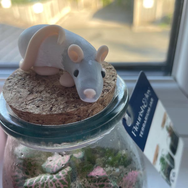 Custom Ferret / Polecat Polymer Clay Model - Etsy