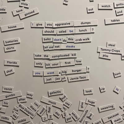 I Think You Should Leave Magnetic Poetry Kit Season 2 ITYSL Merch - Etsy