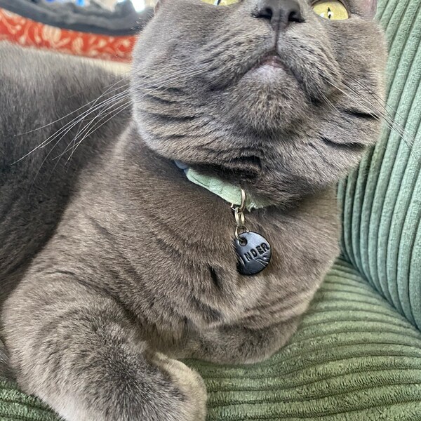 Cat Tag, Leather Tag, Silent ID Tag, Personalized Cat Tag, Small Dog ...