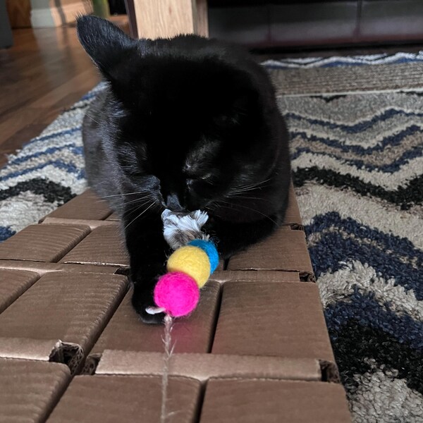 Matching Reversable Cat Bandana and Kitty Kicker Cat Toy Set. Cat ...
