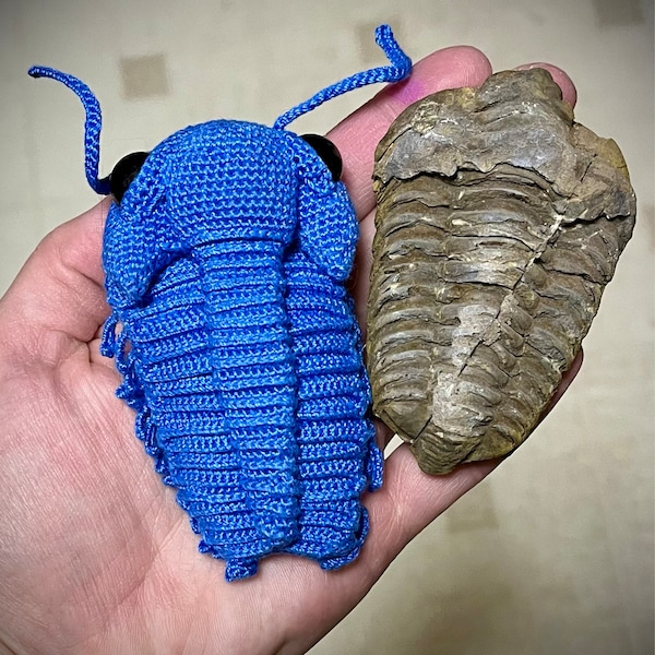 Trilobite Crochet Pattern, Amigurumi Trilobite PDF File in English - Etsy