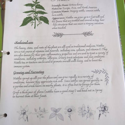 Green Witch Herb Grimoire Pages, Pack No.1 MEGAPACK, Book of Shadows ...