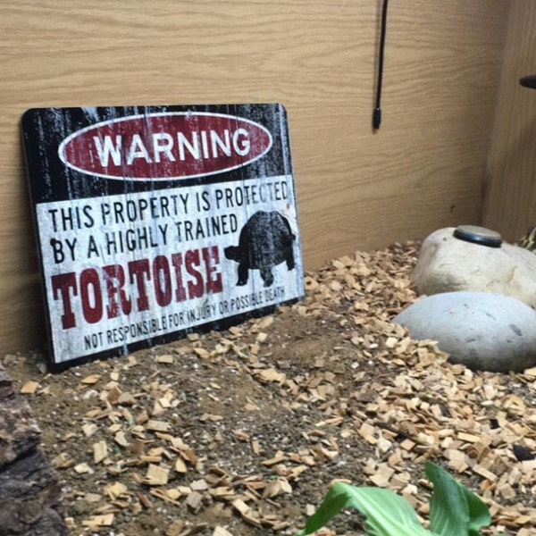 Tortoise Sign,funny Metal Signs,tortoise Gift,tortoise Accessories ...