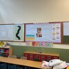 Commonly Confused Words Poster Set, Set of 10, English Classroom ...