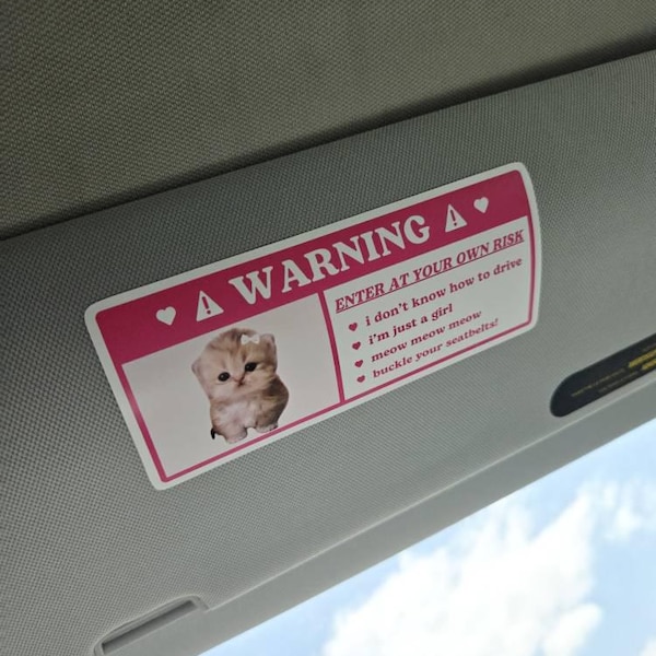 Cute Cat Car Warning Sticker | Pink Coquette Kitty Kawaii Girl Airbag ...