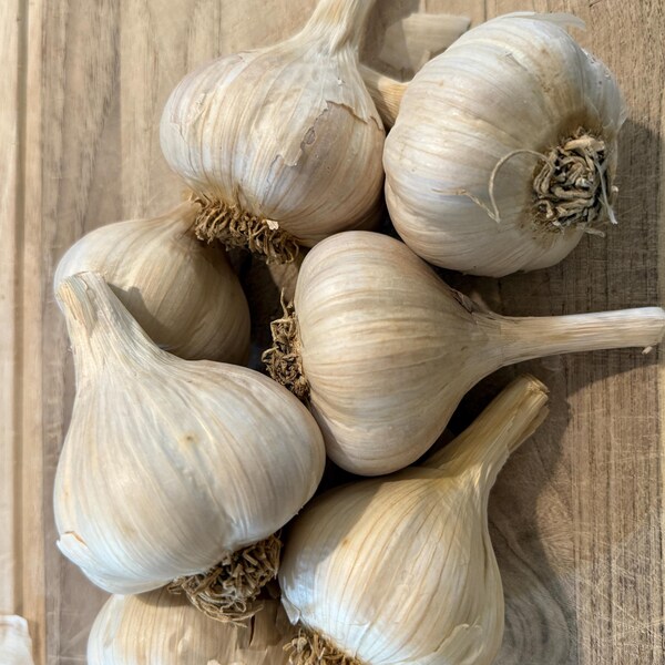 Sweet Fire Relish 16 Ounce Jar BJ Gourmet Garlic Farm - Etsy