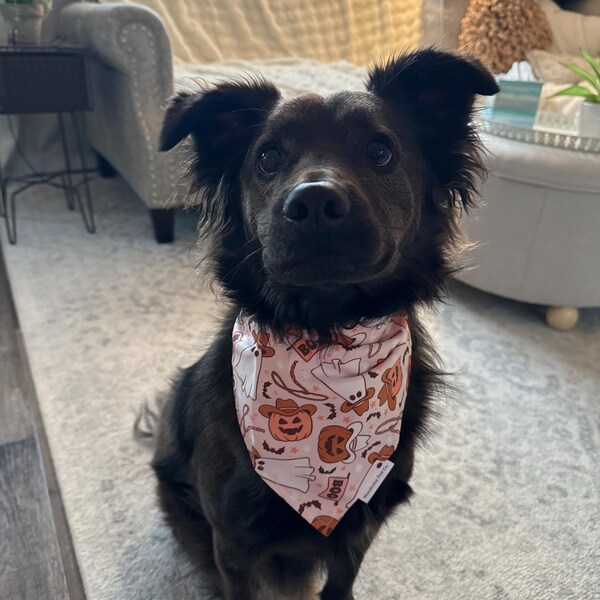 Sienna Bandana, Dog Bandana, Fall Dog Bandana, Over the Collar Dog ...