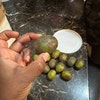 Fresh Dwarf June Plums 5 Lbs- Always Freshly Picked - ** We Are ...