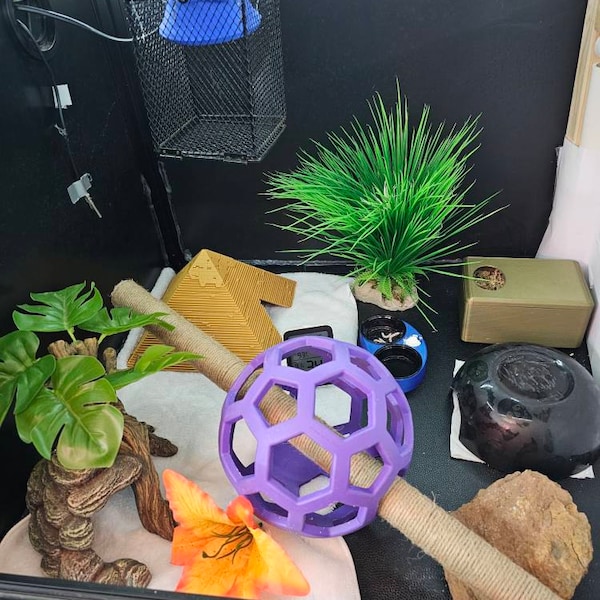 Leopard Gecko Moist Hide / Lay Box - Etsy