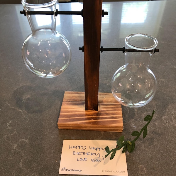 Plant Propagation Vase Gardening Planter Set Hydroponic Houseplant ...