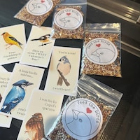 Bird Valentine Cards - Mini Cards for Classroom Valentine's Day Parties ...
