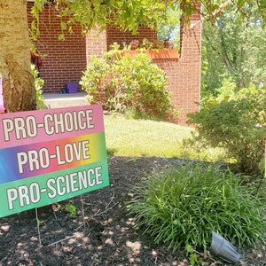 Pro-choice/pro-love/pro-science Women's Rights / Pro - Etsy