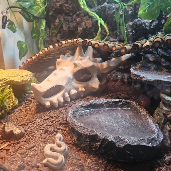3D Printed Reptile Basking Platform With Ramp: Terrarium Decor - Etsy
