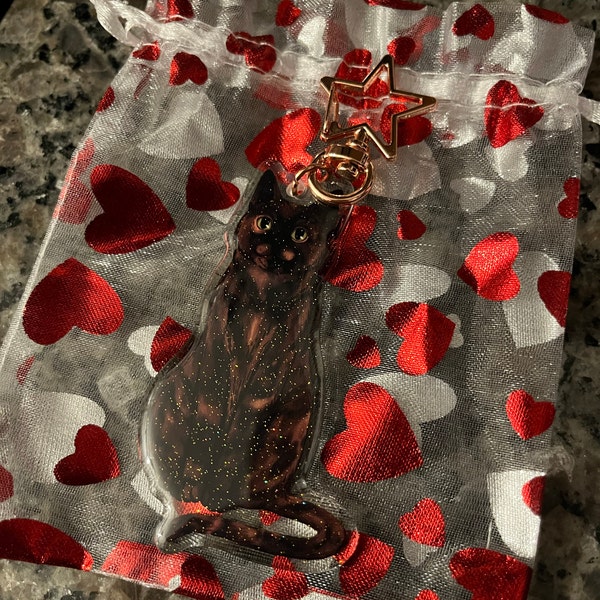 Alien Kitty Glitter Acrylic Keychain Spaceship - Etsy