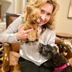 Fox Wire Farm Alpacas Bird Nesting Material - Etsy