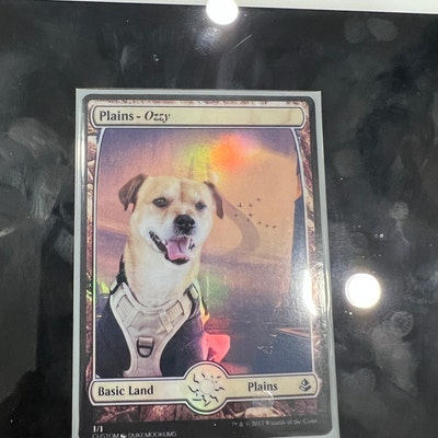 Personalized Pet Magic the Gathering Foil Land - Etsy