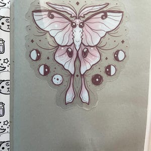Pink Silk Moth Transparent Sticker - Etsy