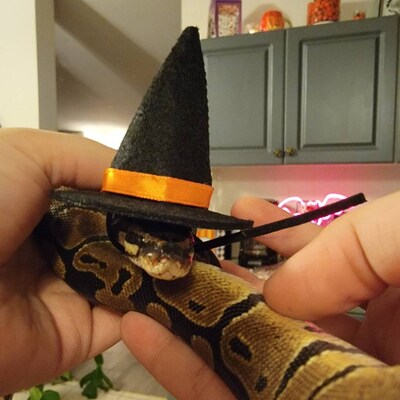 Hissy Halloween // Mini Black Witches Hat for Snakes Reptiles Pets ...