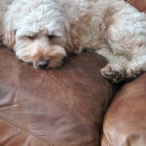 Personalised Lotto Scratch Card Wallet Lottery Ticket Holder Wedding ...