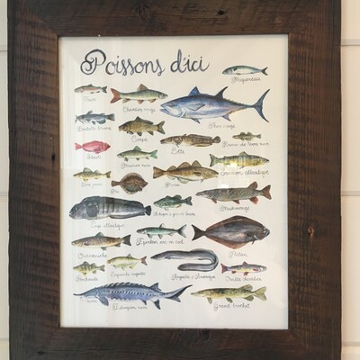 Imprimé Poissons du Québec Poster planche identification poissons Art ...