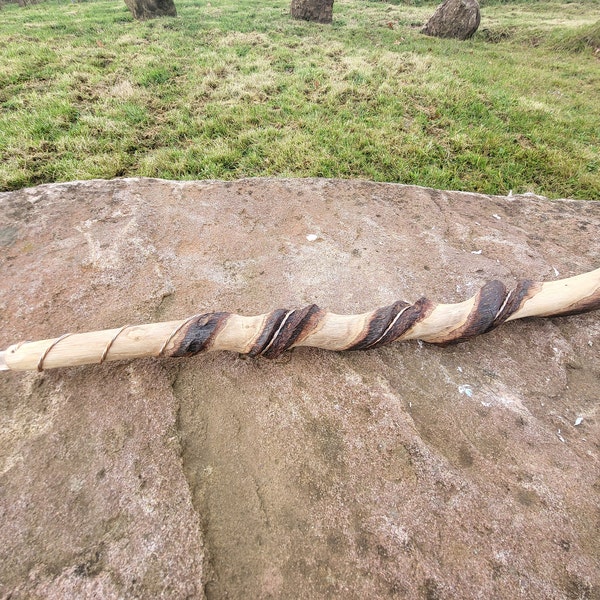 Multi Twsted Hazel Hiking Staff/ Ceremonial Staff - Etsy