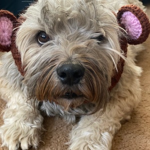 Monkey Dog Snood Knit Crochet Dog Hat Halloween Dog - Etsy