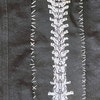 Spine Back Patch - Etsy